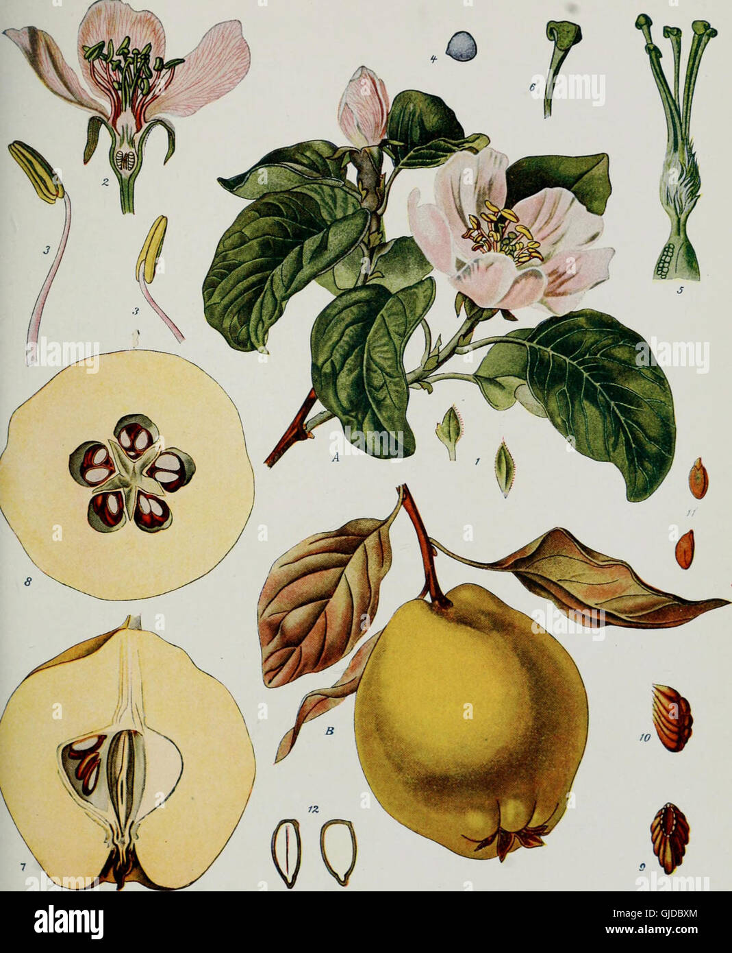 A collection of color photographs depicting various elements of nature ...