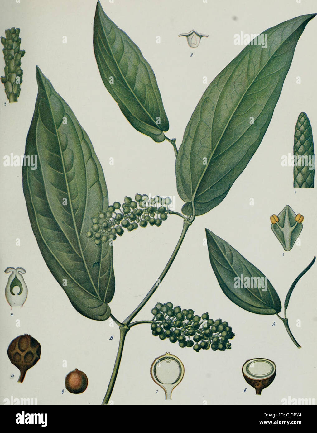 'Nature Neighbors' combines color photography with scientific ...