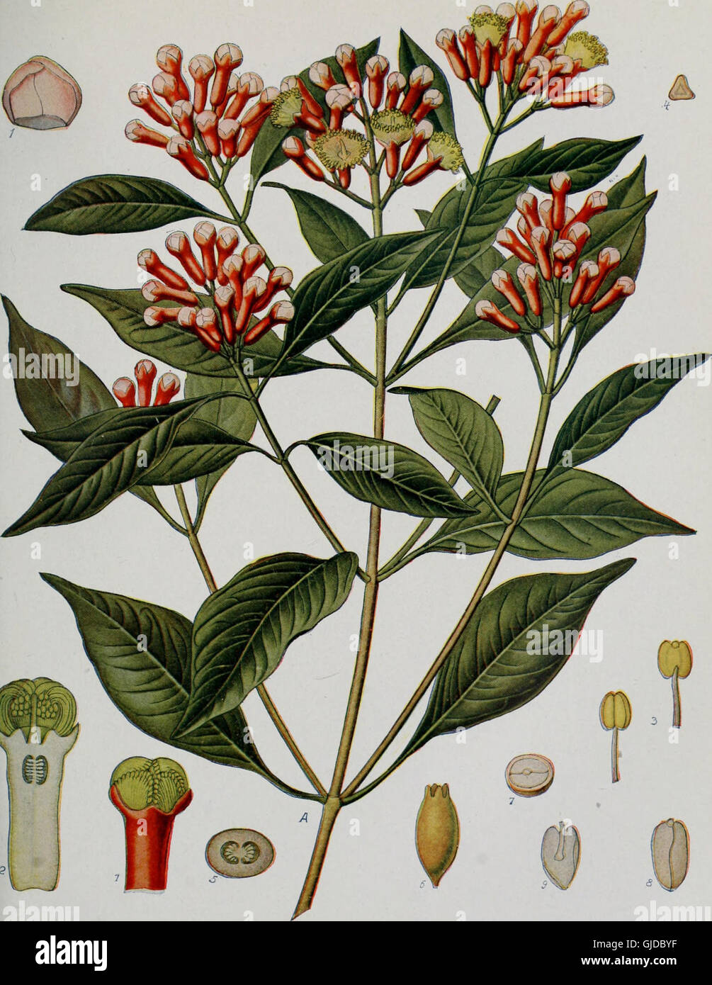 This collection features articles and color photographs of various ...