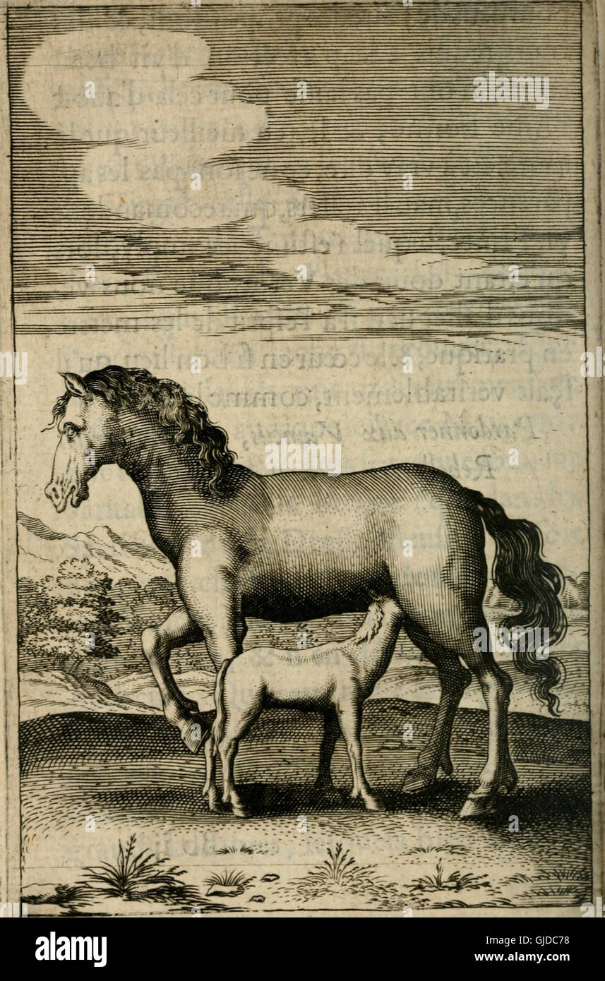 'Recueil d'emblèmes divers' (1638) is a collection of emblems with ...