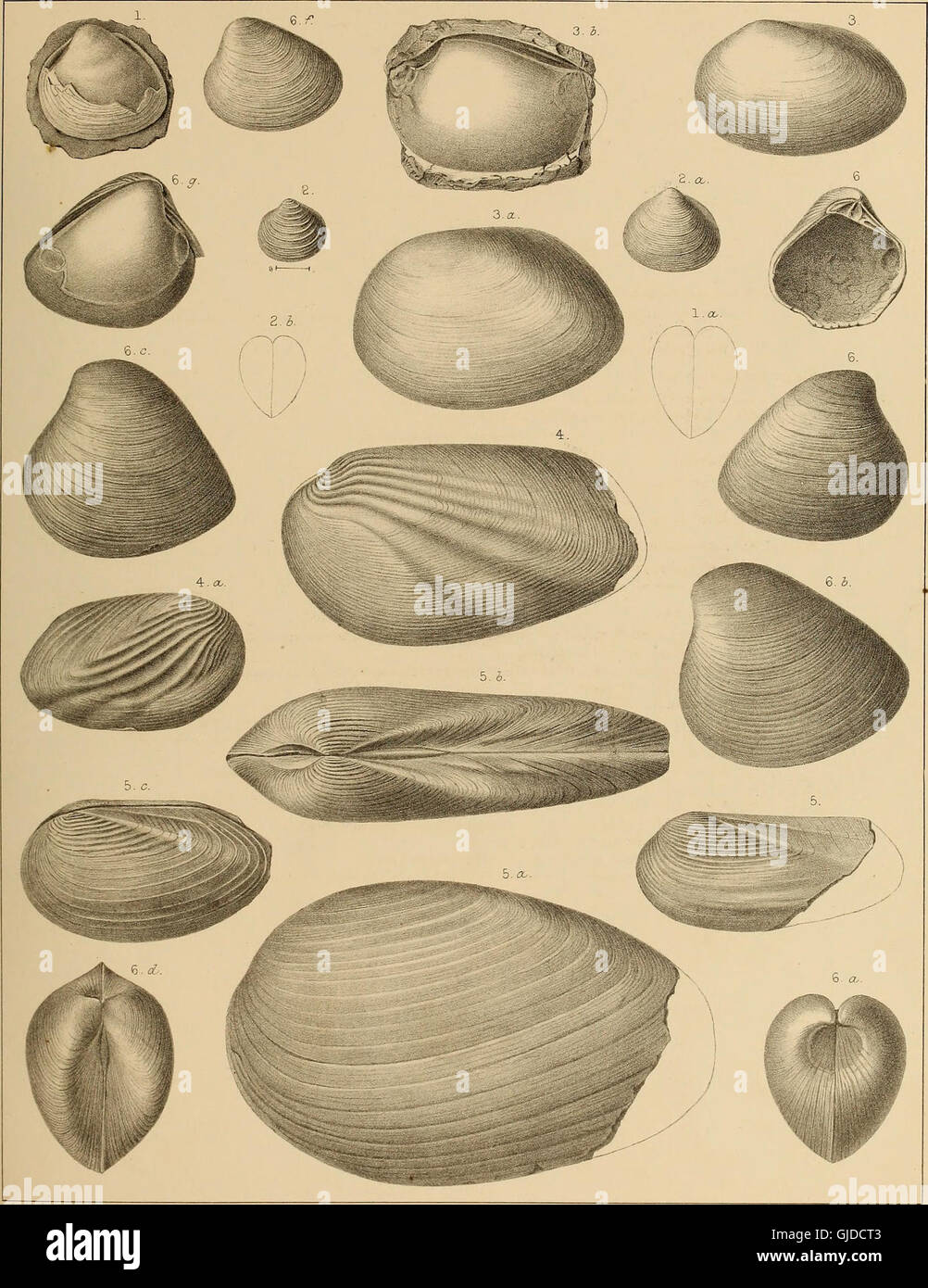 This 1877 geological report details the findings of an exploration ...