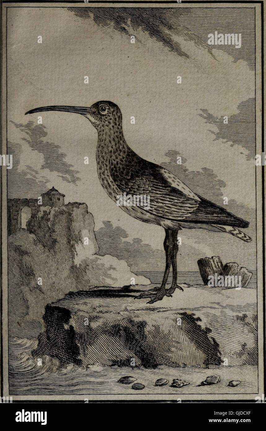 *Histoire naturelle des oiseaux* (1781) is a classic French work by ...