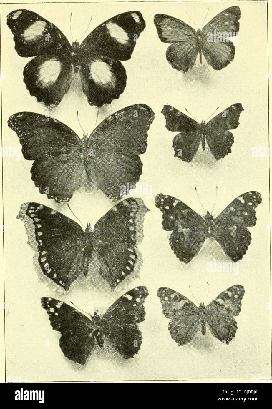 The butterflies of the eastern United States; for the use of classes in ...