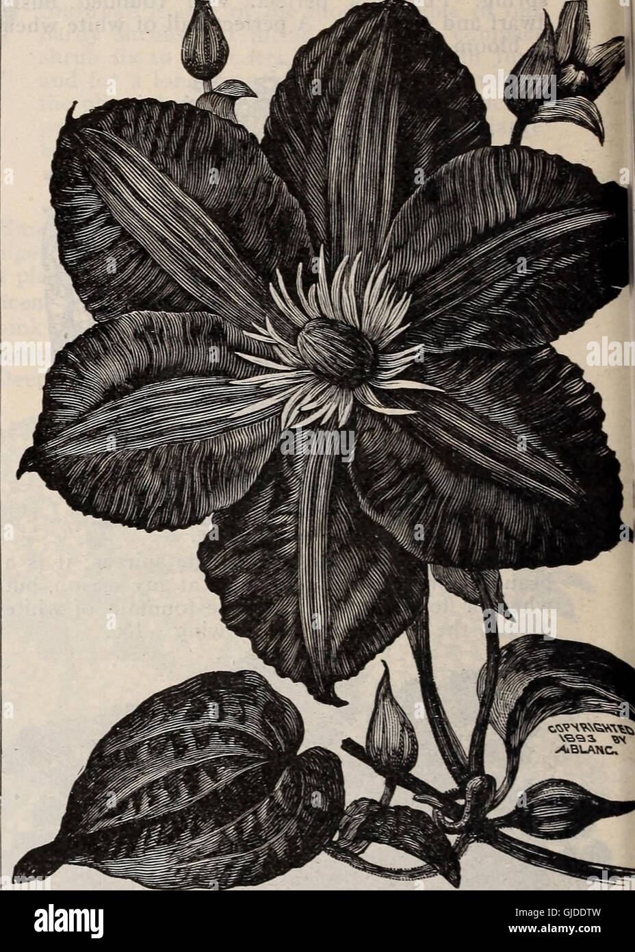 The year 1900 spring season is depicted, showing various events or ...