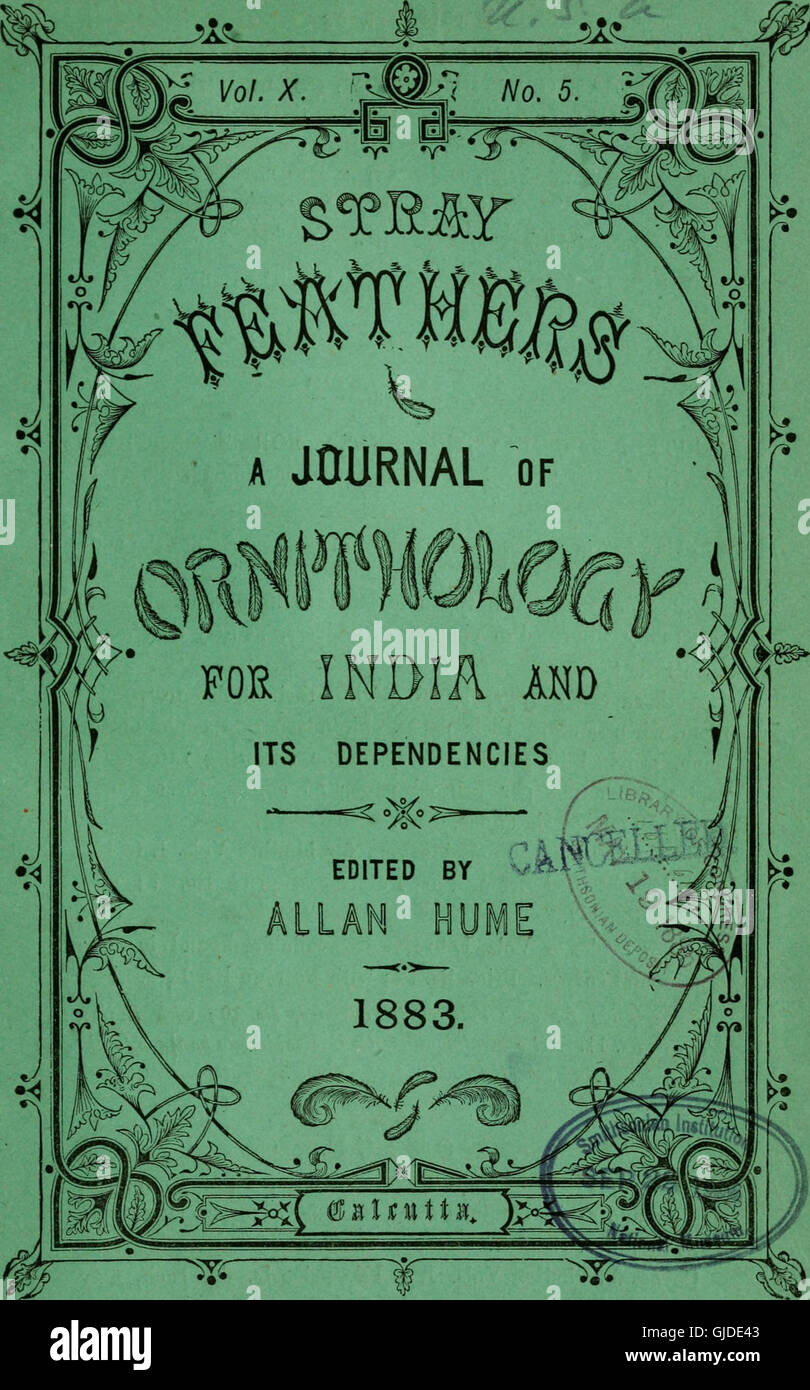 Manuscript stray hi-res stock photography and images - Alamy