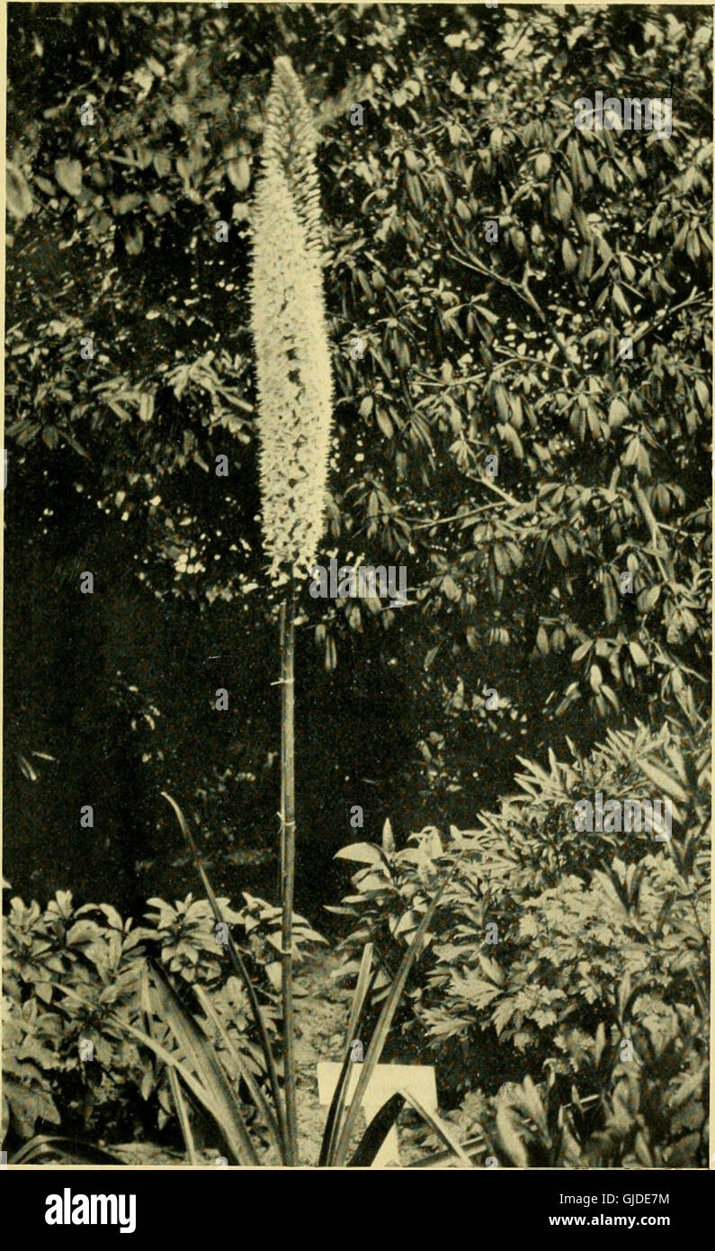 Garden Hints High Resolution Stock Photography and Images - Alamy