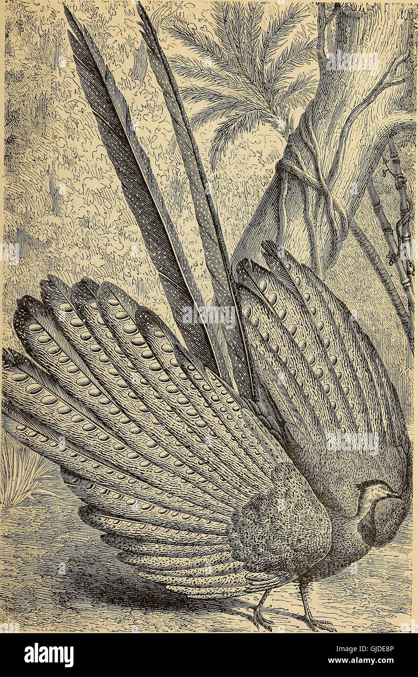 This book offers a detailed description of various orders of reptiles ...