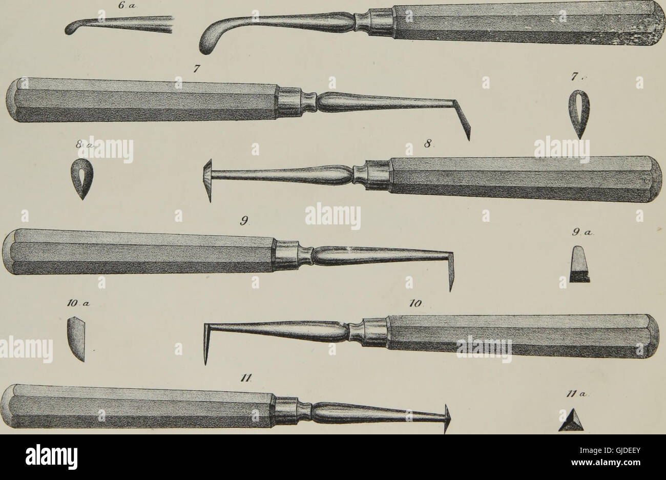 Scaling instruments;The anatomy, physiology and pathology of the human ...