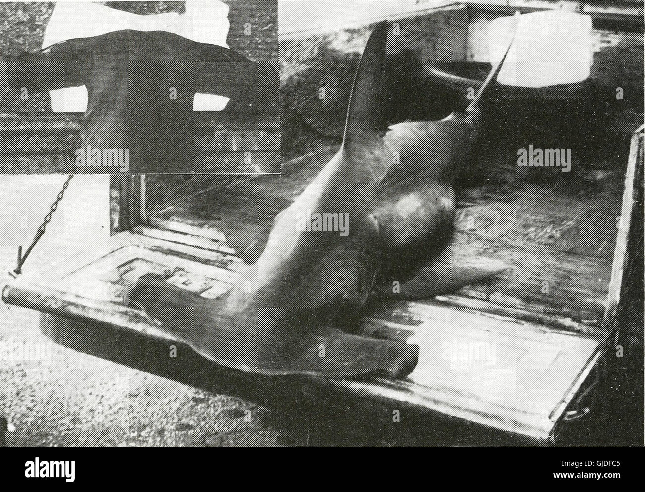 'California Fish and Game' is a publication focused on the management ...