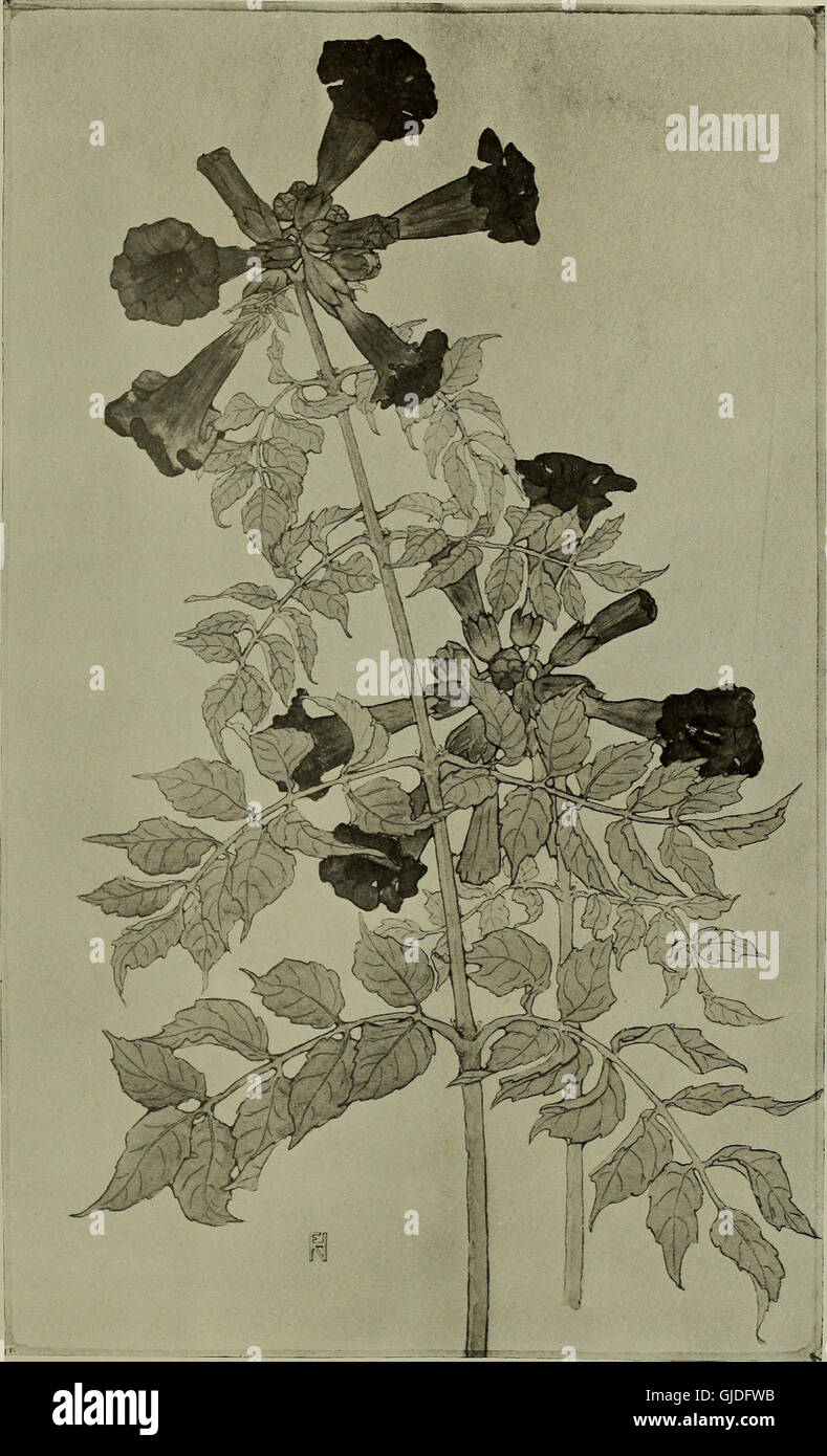 'Keramic Studio' (1911) is a magazine dedicated to ceramics, including ...