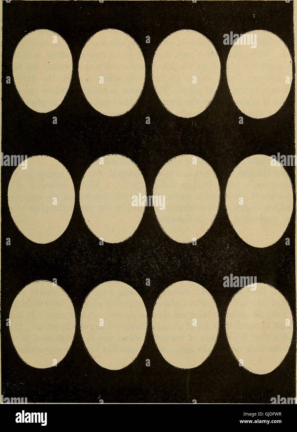 A 1920 scientific study examining the variation and inheritance of egg ...