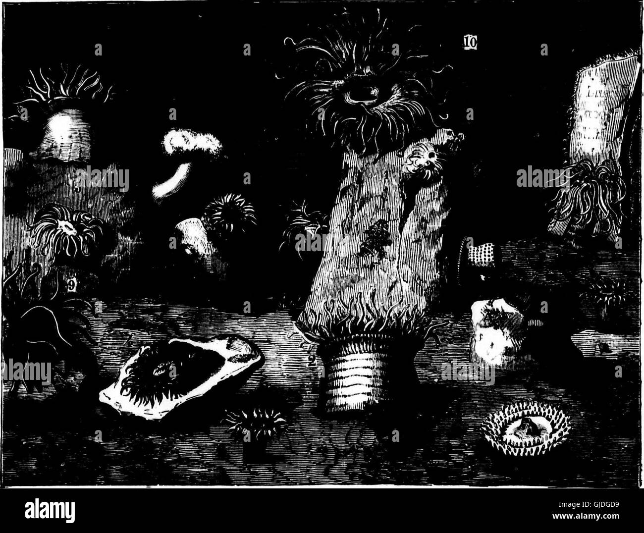 Peril at sea Black and White Stock Photos & Images - Alamy