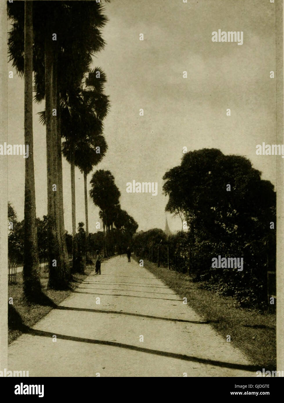 This work analyzes the role of literary and cultural criticism in ...