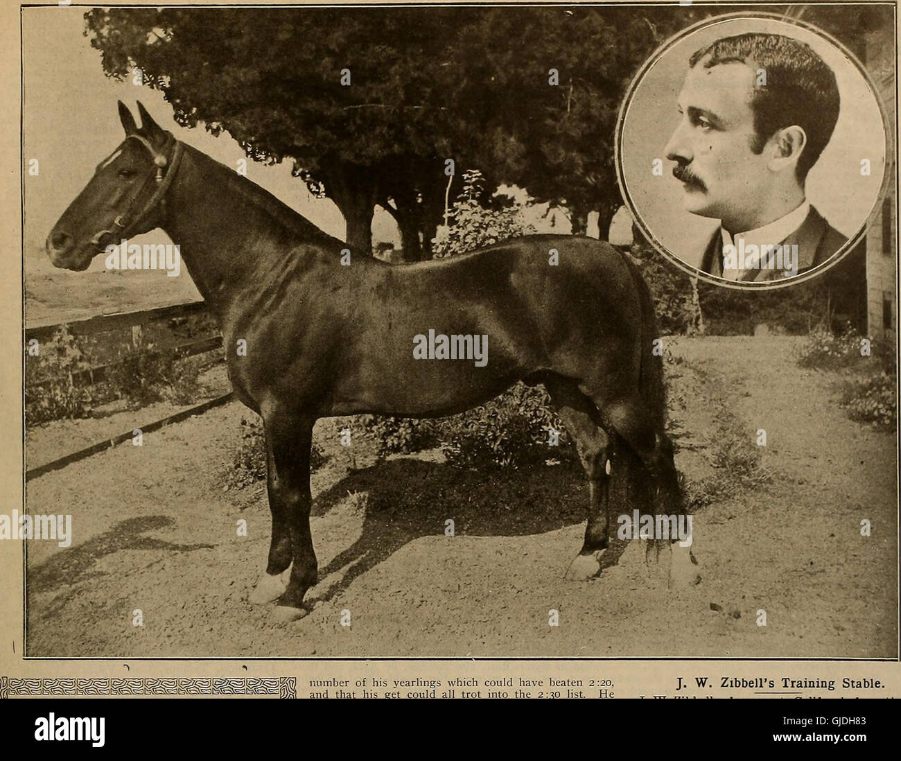 Breeder and sportsman (1903 Stock Photo - Alamy