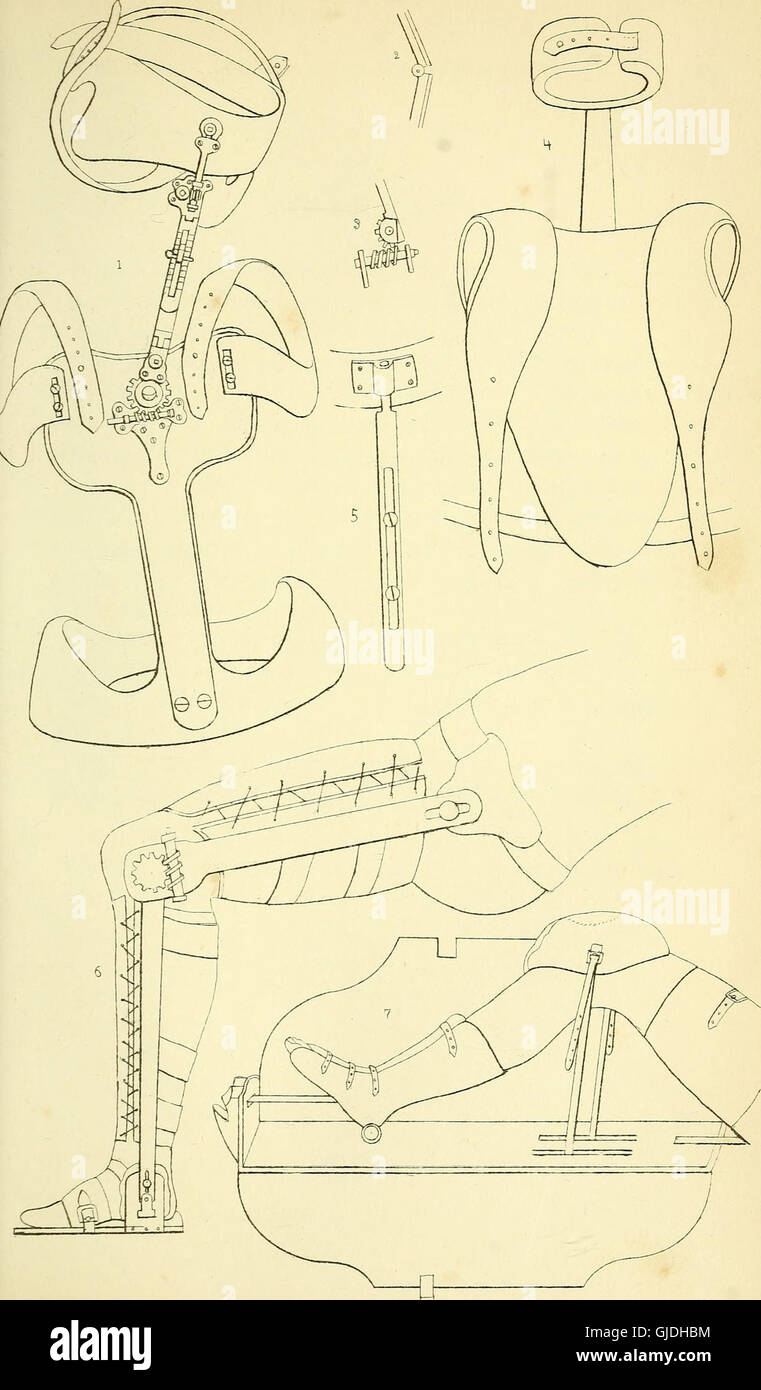 Featuring detailed anatomical drawings hi-res stock photography and ...