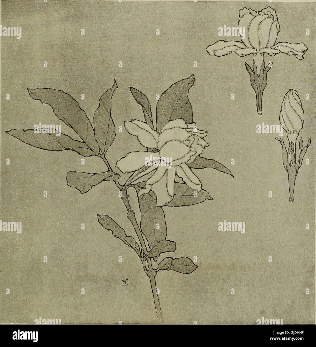 Keramic studio hi-res stock photography and images - Alamy