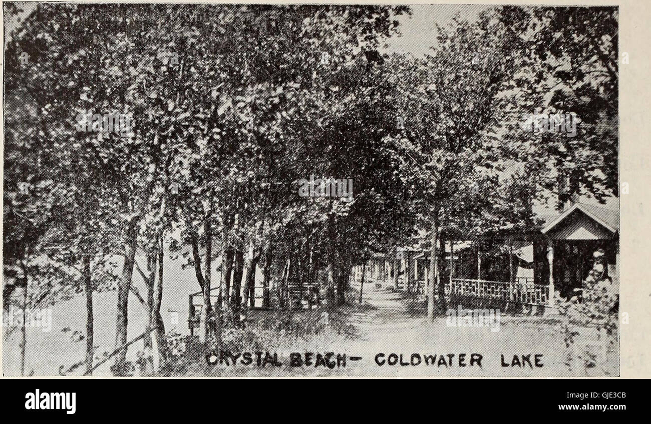 Coldwater, Michigan pictorial city directory and year book (1919 Stock ...