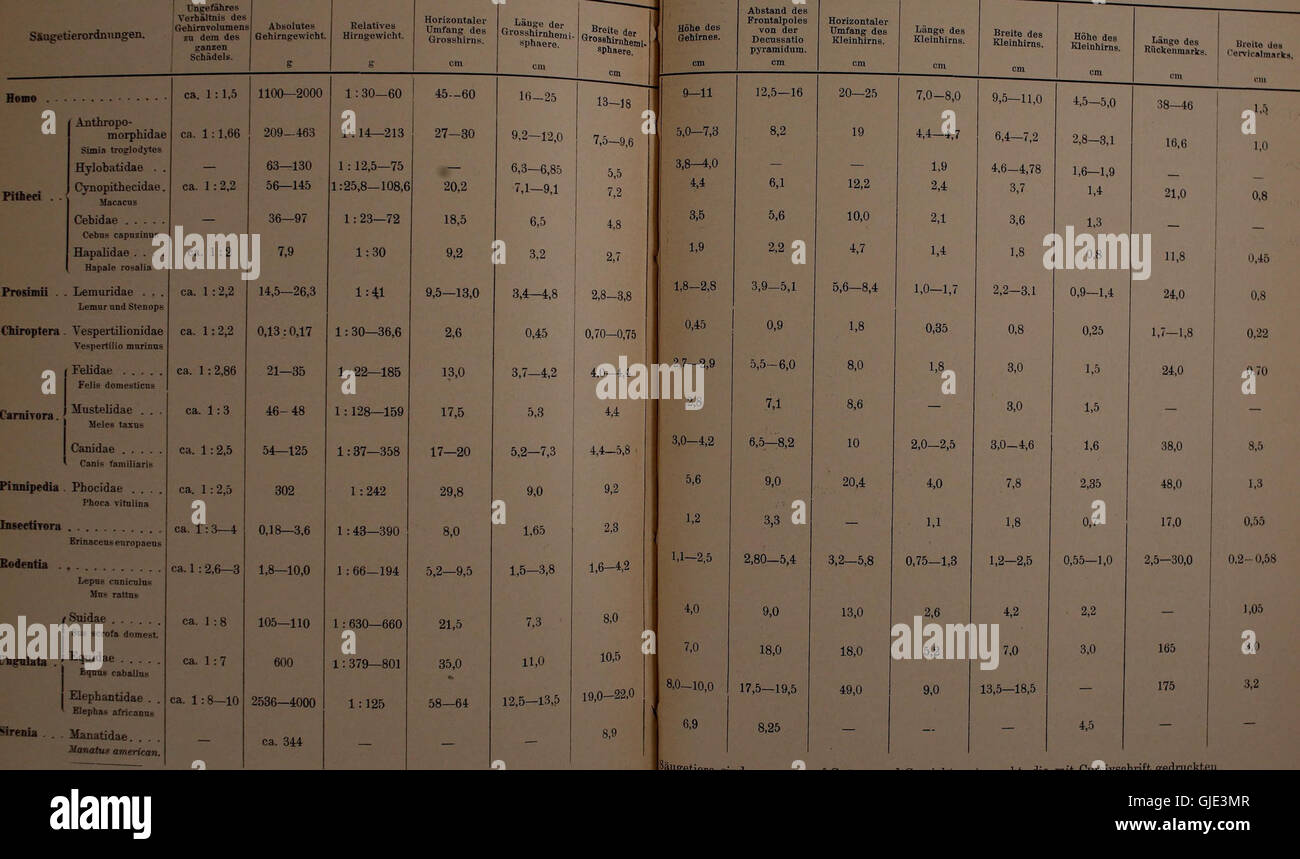 This German manual provides a detailed examination of the anatomy and ...