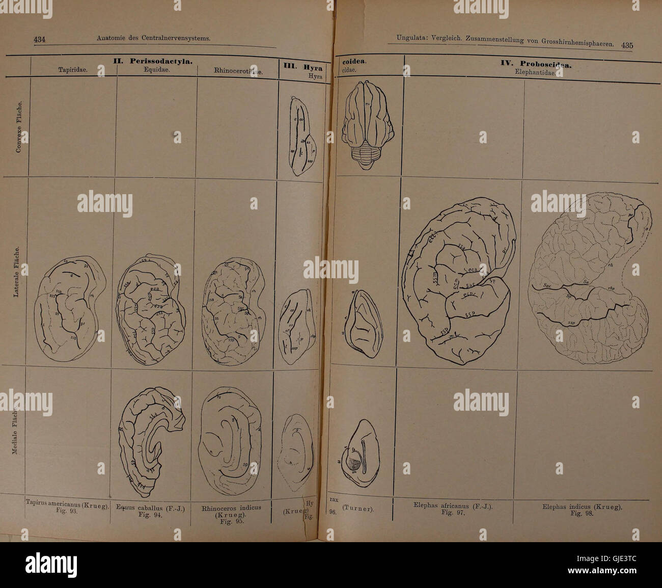 This 1899 handbook provides an in-depth study of the anatomy and ...