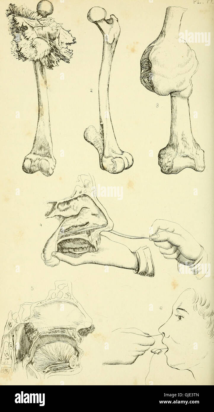 This historical medical text presents a comprehensive collection of ...