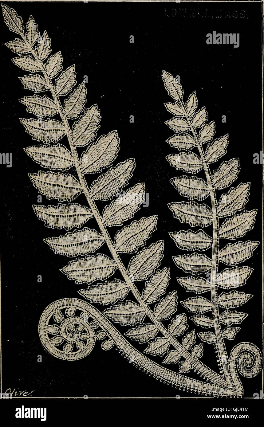 Map Of Honiton High Resolution Stock Photography and Images - Alamy