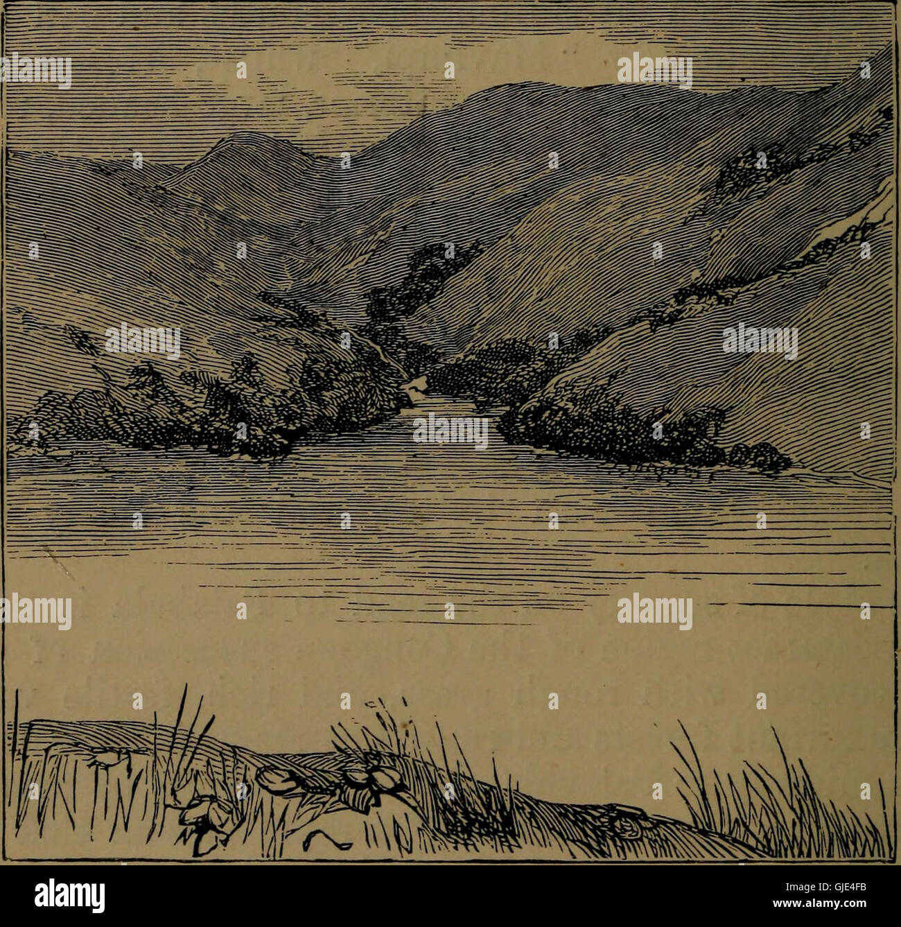 Congo river mouth hi-res stock photography and images - Alamy