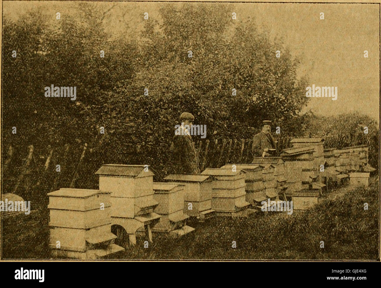 This journal provides essential information on beekeeping, including ...