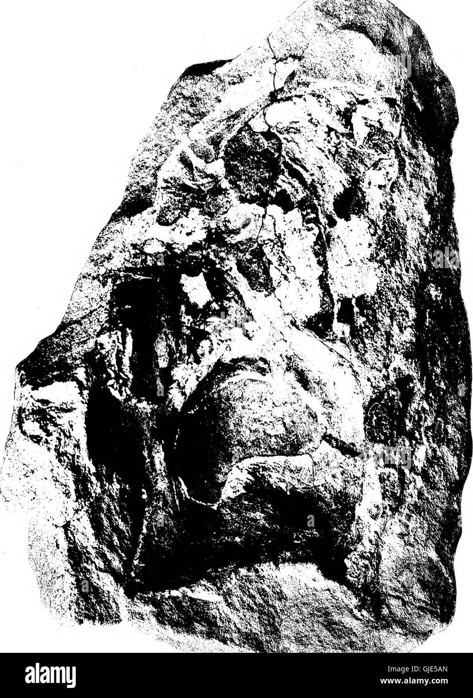 Captain scott discovery expedition Black and White Stock Photos ...