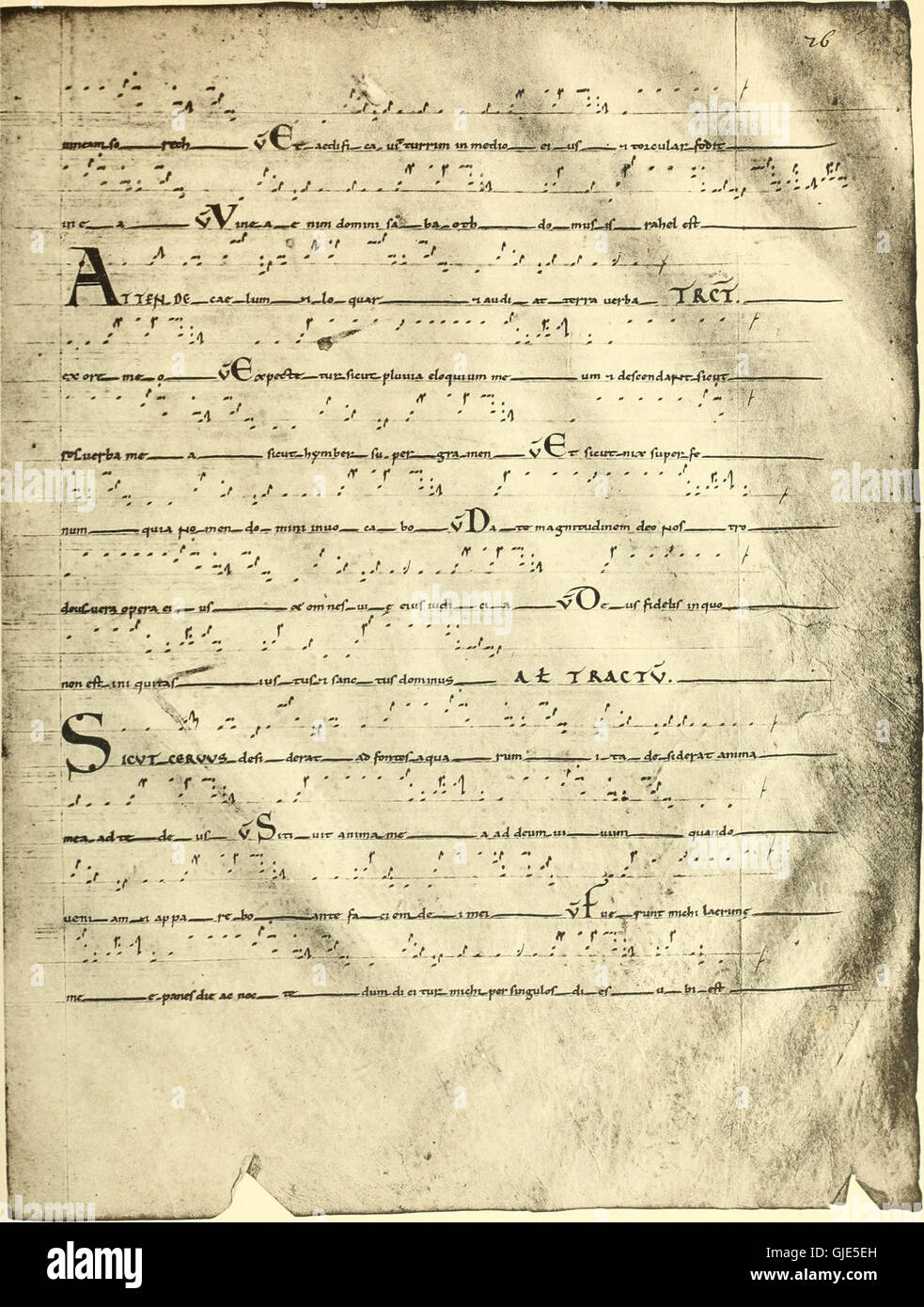 This work provides facsimiles of the main manuscripts of Gregorian ...