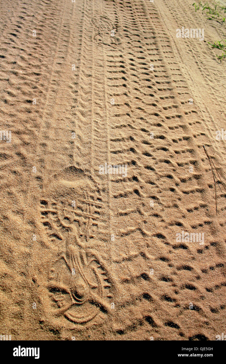 Footprints walking in the sand into the distance Stock Photo - Alamy