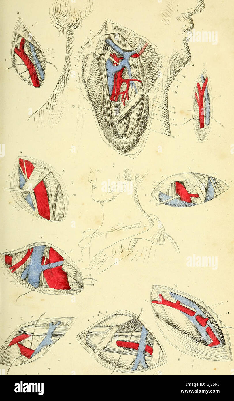 A comprehensive surgical reference, illustrated with over 1,900 ...