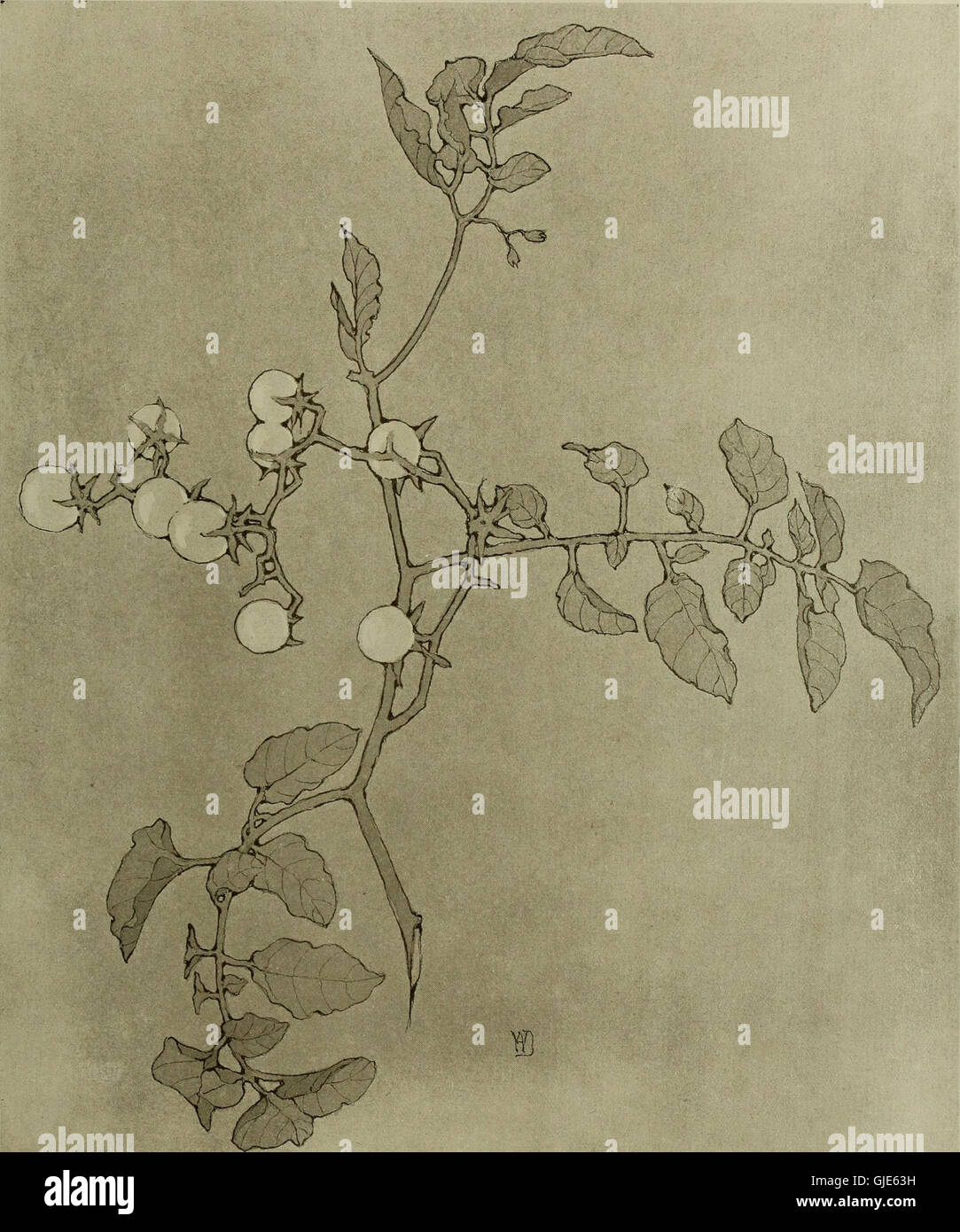 Keramic studio hi-res stock photography and images - Alamy