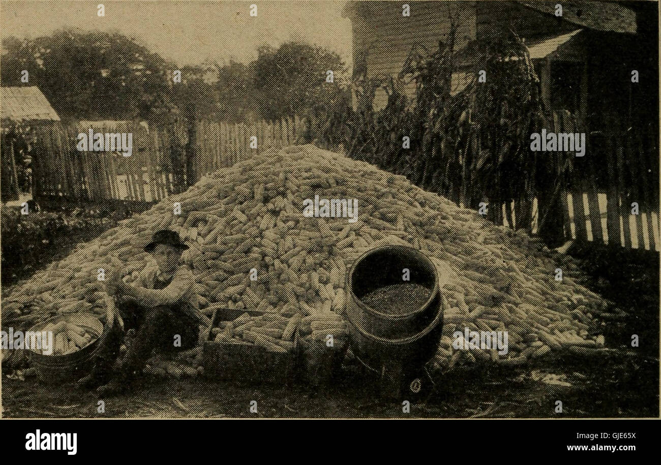 A historical work from 1916 exploring the role of corn in the ...