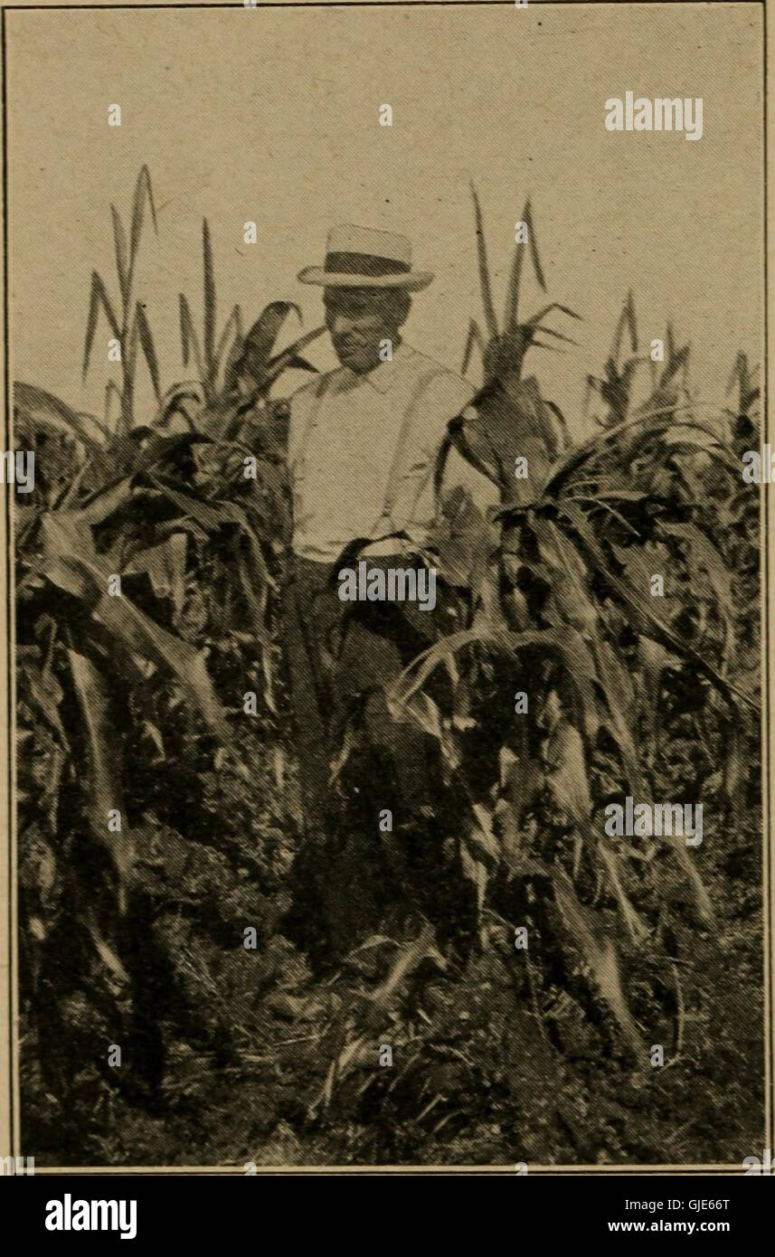 'The Story of Corn and the Westward Migration' is a 1916 publication ...