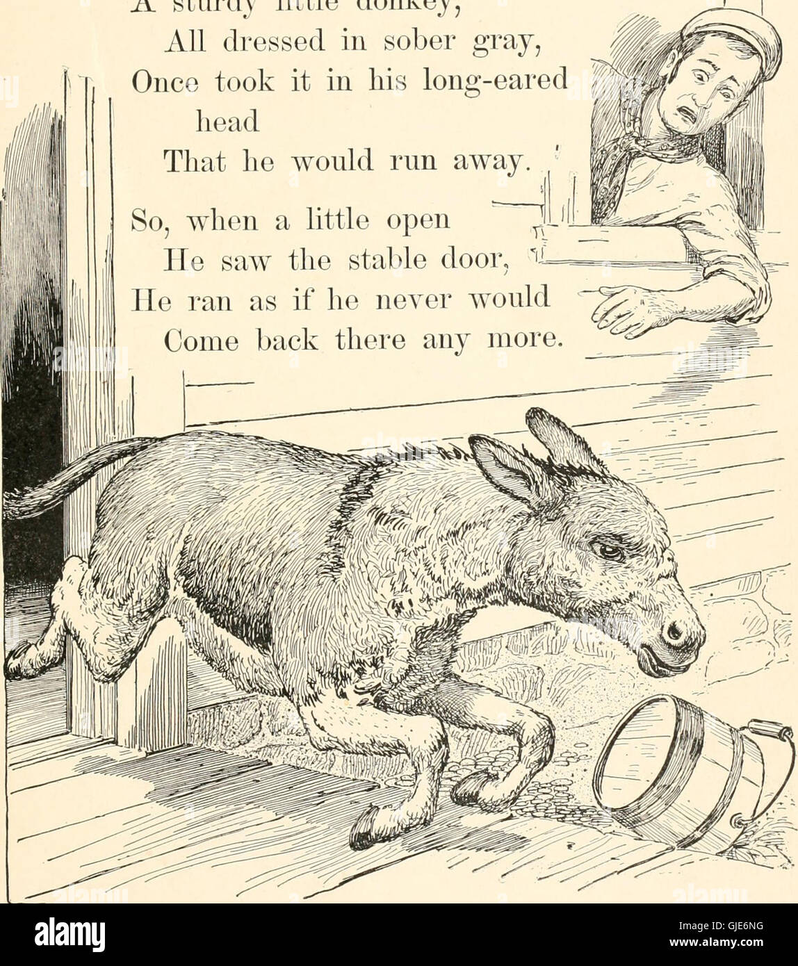'The Runaway Donkey, and Other Rhymes for Children' (1905) is a ...
