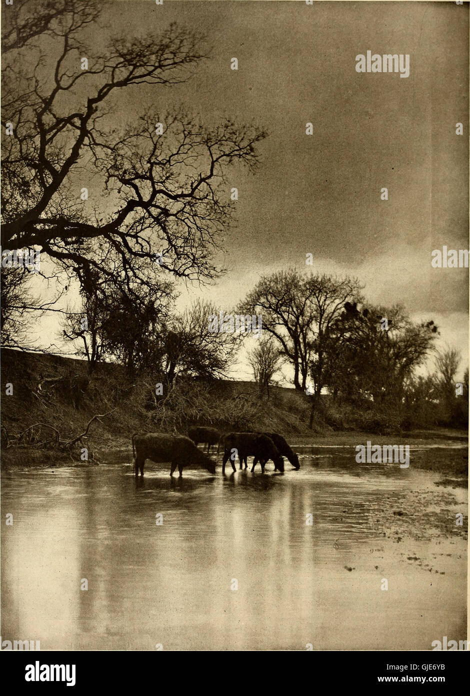 A historical photograph from the 1907 publication 'American Homes and ...