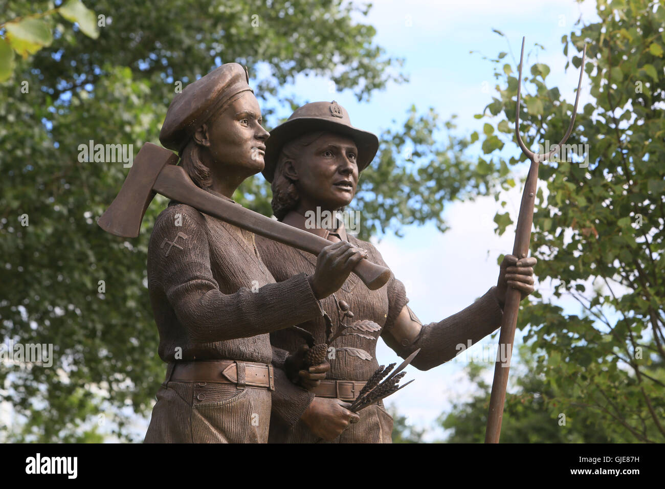 Timber corps hi-res stock photography and images - Alamy
