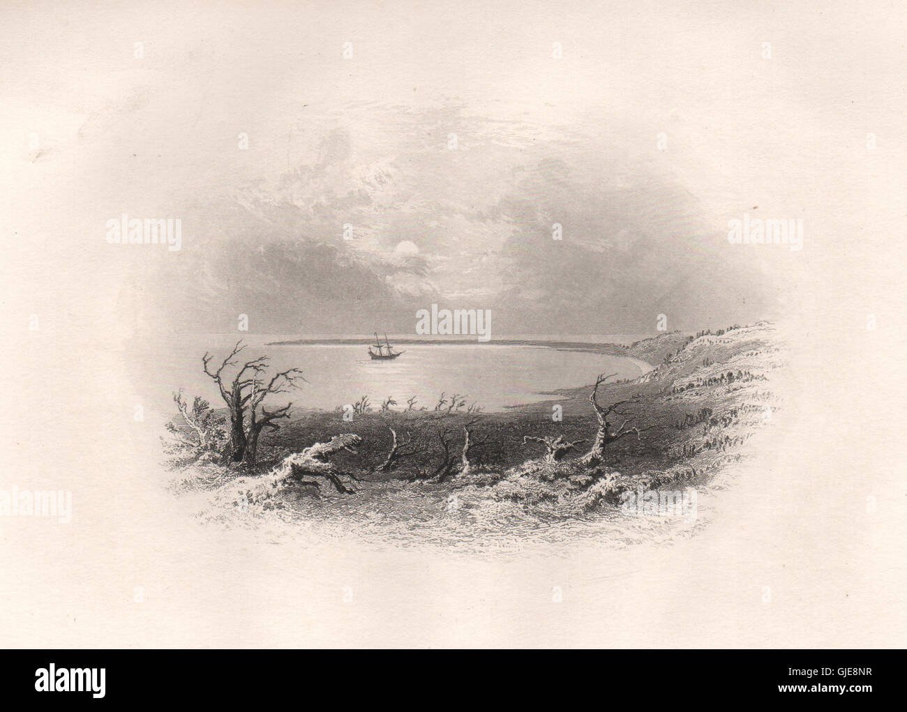 The Mayflower in CAPE COD HARBOUR, Massachusetts. Pilgrim fathers ...