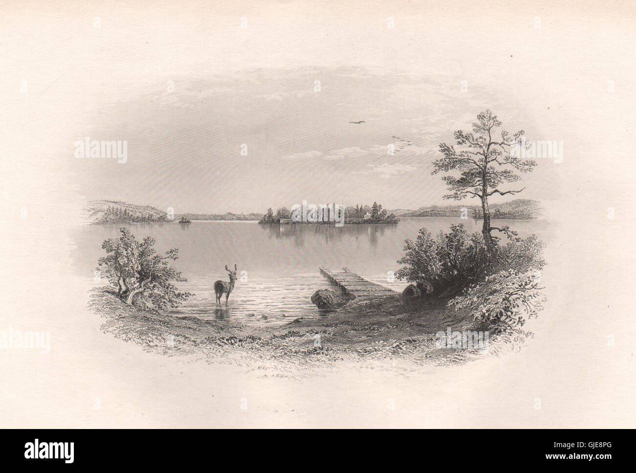 Billington Sea, PLYMOUTH, Massachusetts. Pilgrim fathers. BARTLETT ...