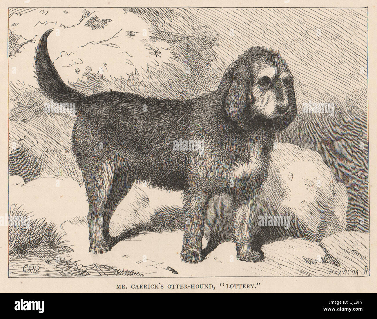 Lottery print hi-res stock photography and images - Alamy