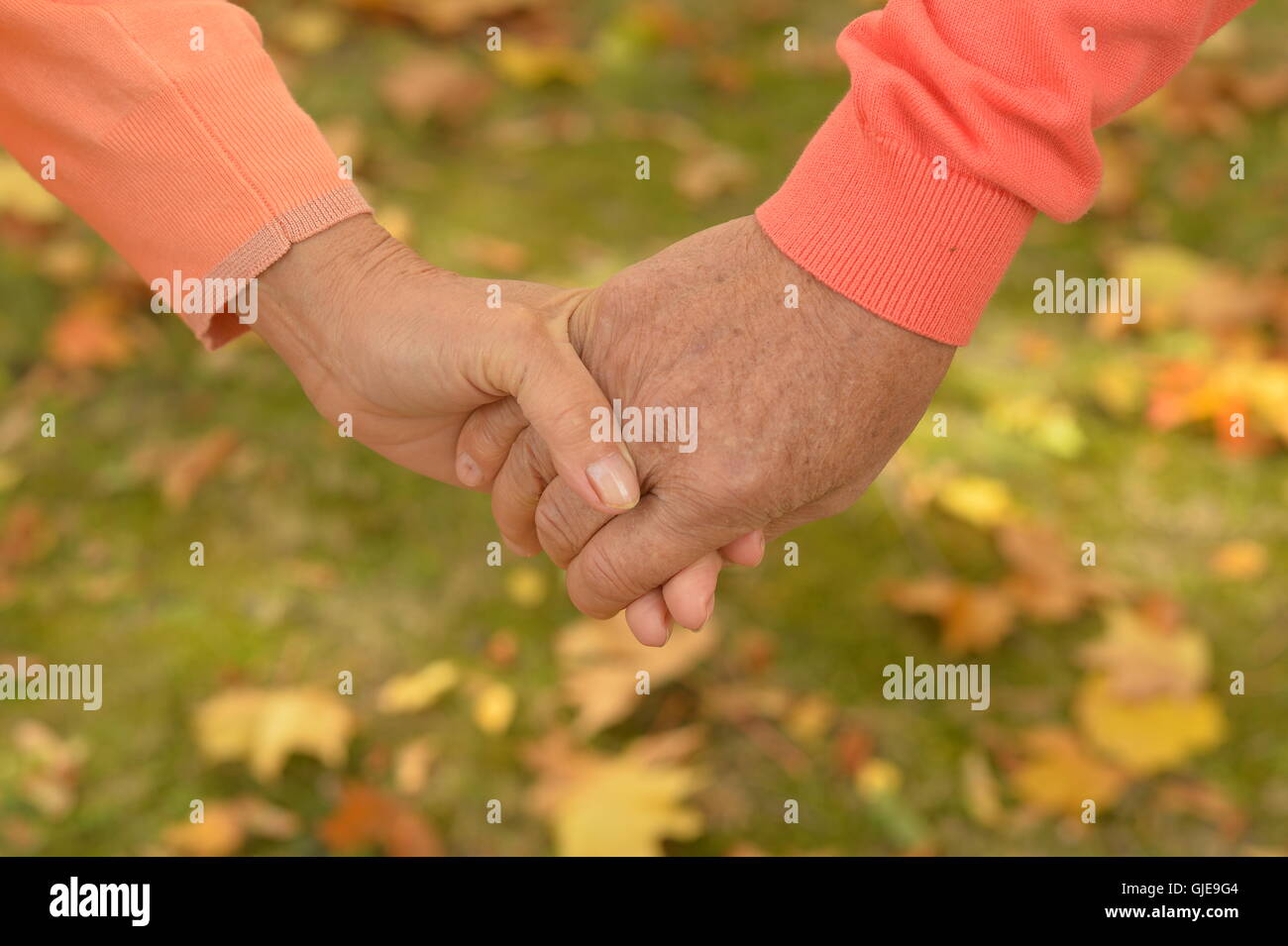 Elderly couple holding hands Stock Photo - Alamy