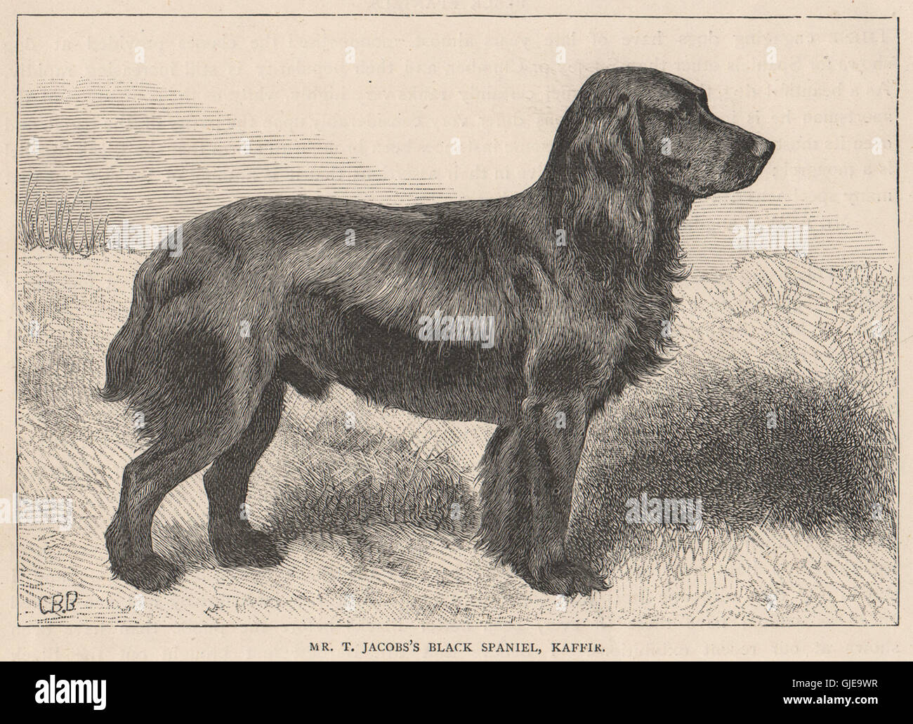 Mr black and hi-res stock photography and images - Alamy