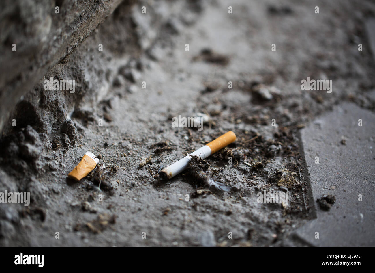 close up of smoked cigarette butt on ground Stock Photo - Alamy