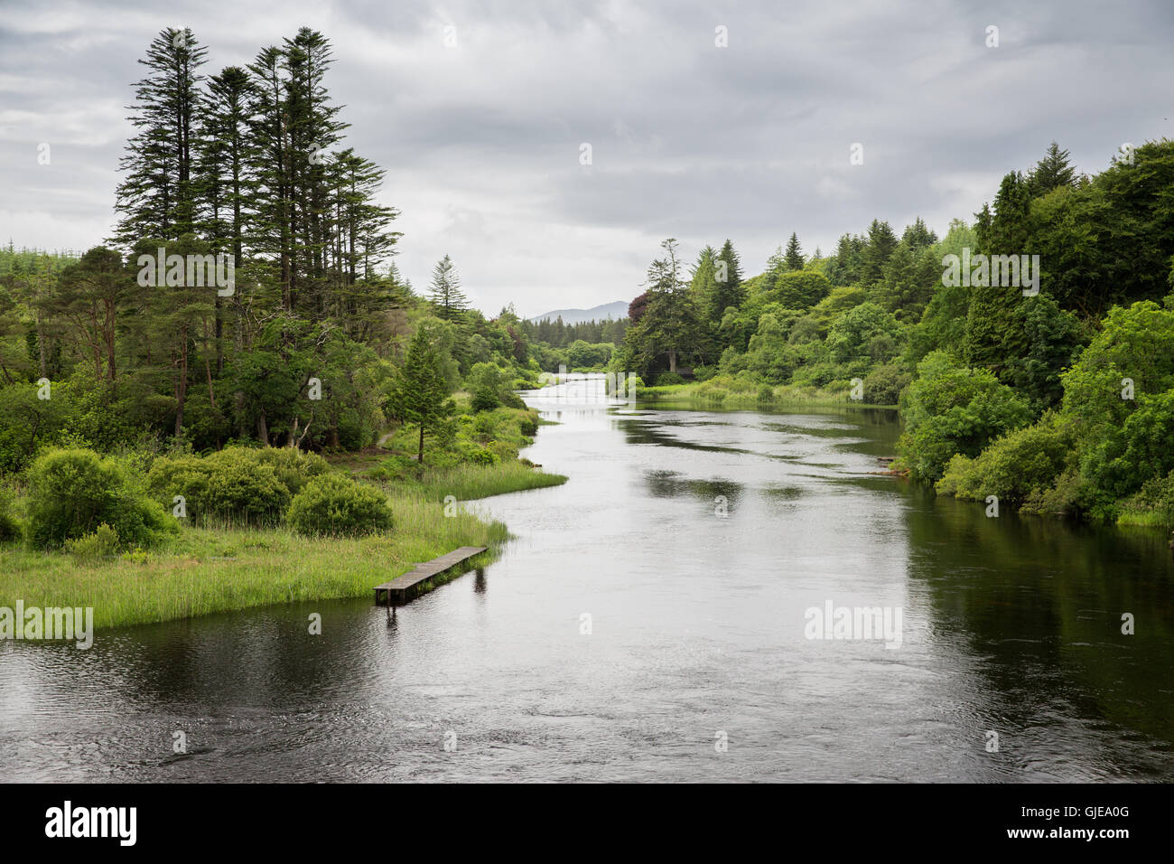 view to river in ireland valley Stock Photo - Alamy