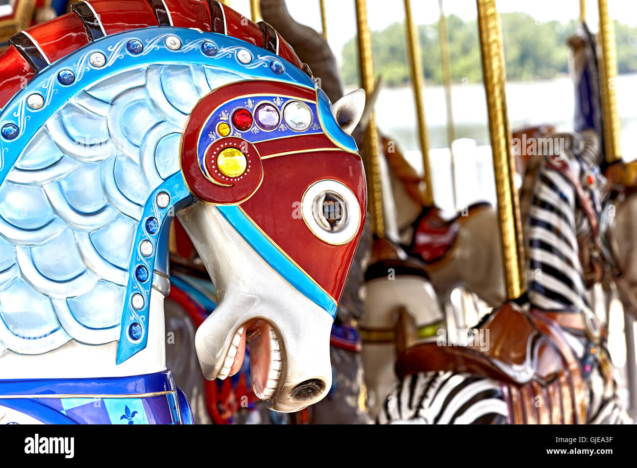 Close up of a carousel horse head Stock Photo - Alamy