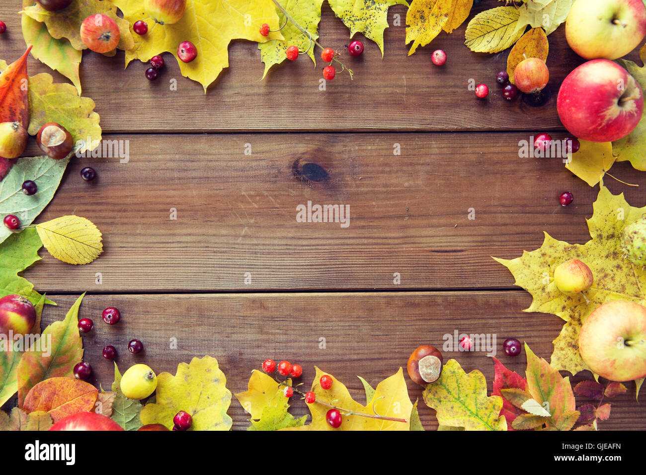 frame of autumn leaves, fruits and berries on wood Stock Photo - Alamy