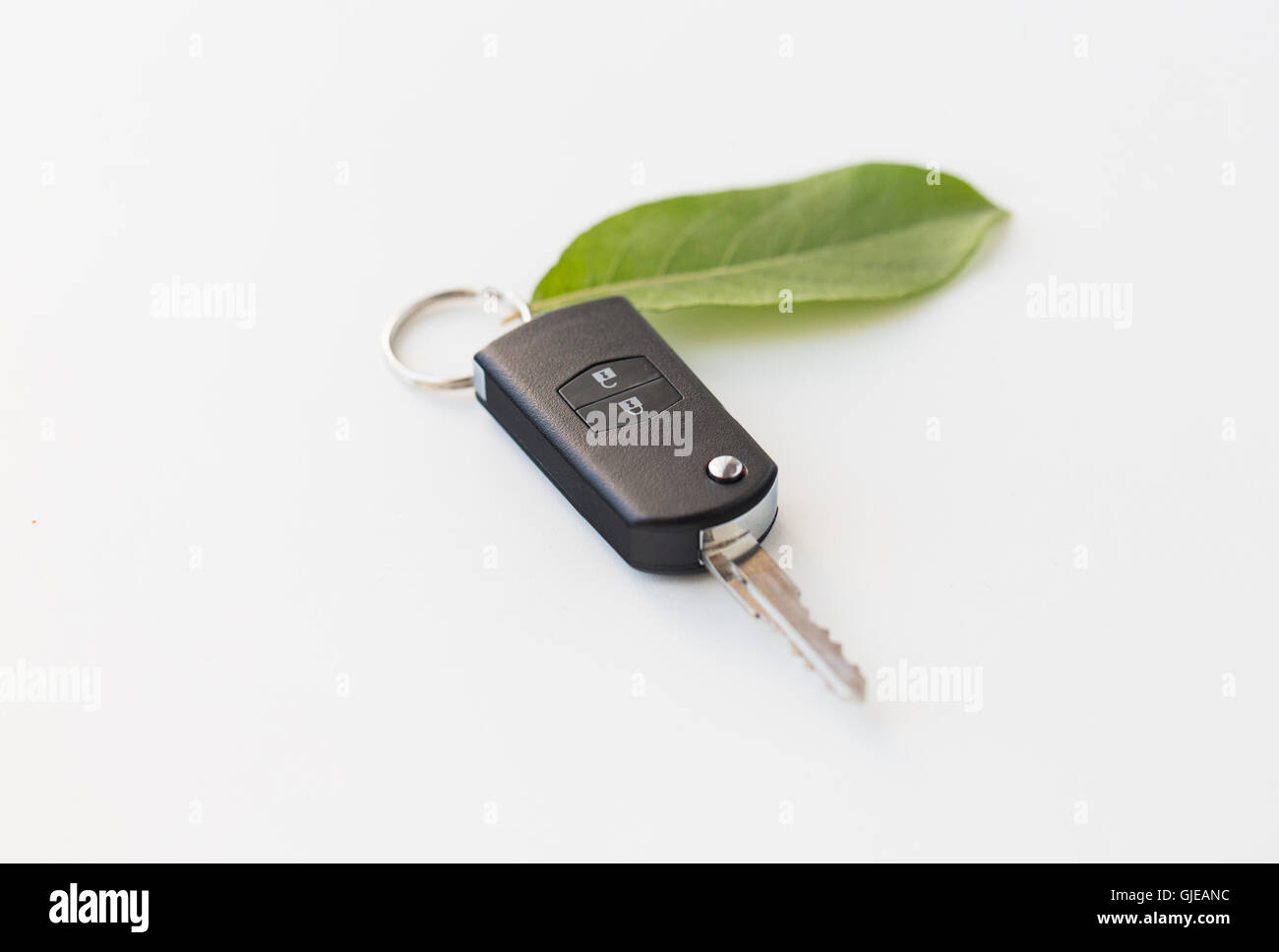 Key green hi-res stock photography and images - Alamy