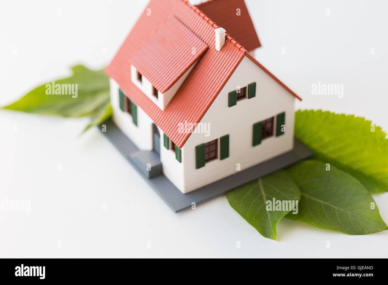 Green house leaves eco hi-res stock photography and images - Alamy