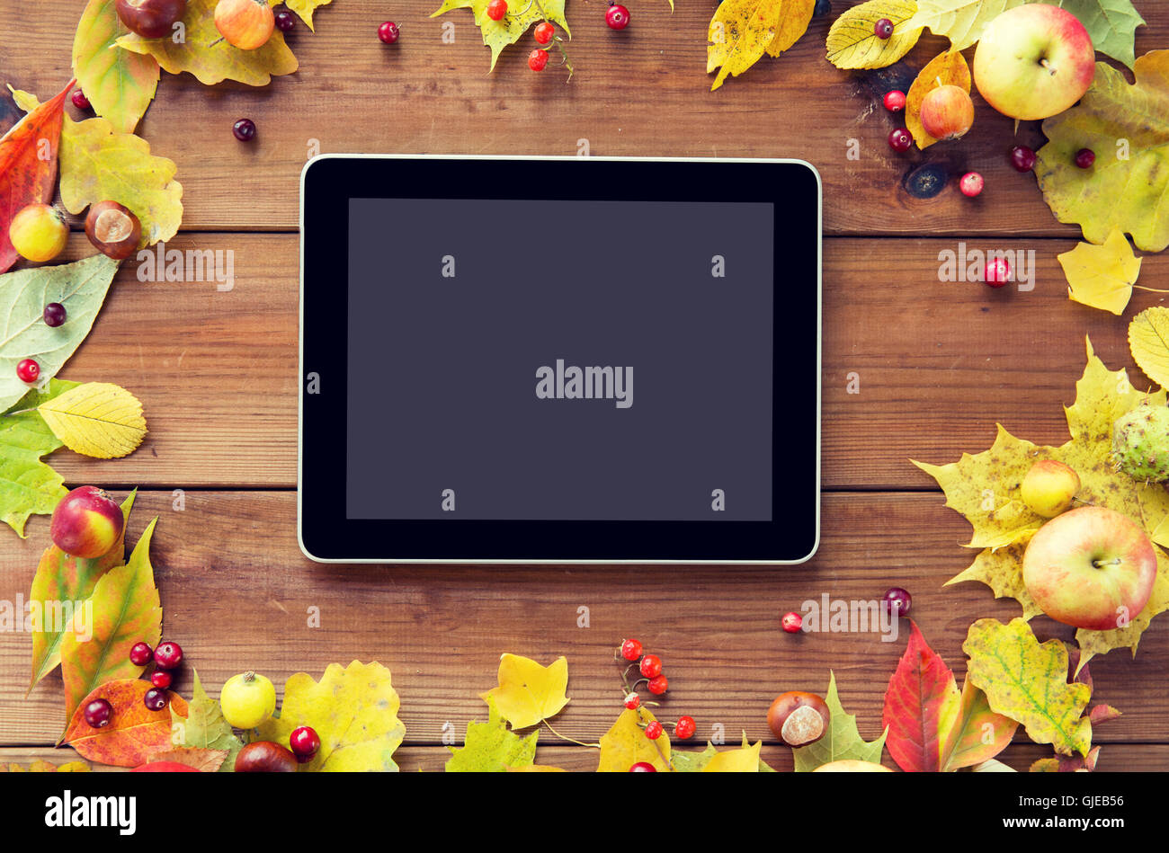 Tablet leaf hi-res stock photography and images - Alamy