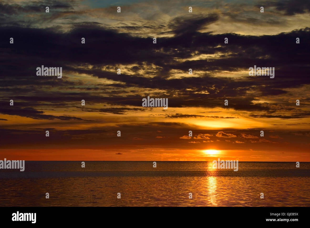 Beautiful florida hi-res stock photography and images - Alamy